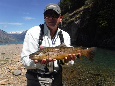 David Passey Clu Cris Posted On Linkedin