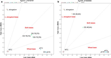 Sequenom Marker Validation And Genotyping We Genotyped Dna Isolated