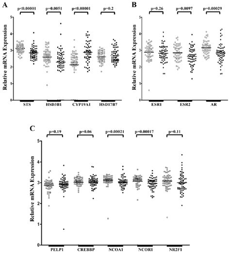 Relative Expression Of Sts Hsd3b1 Cyp19a1 Hsd17b7 Esr1 Esr2 Ar