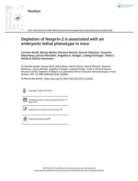 Pdf Depletion Of Nesprin 2 Is Associated With An Embryonic Lethal