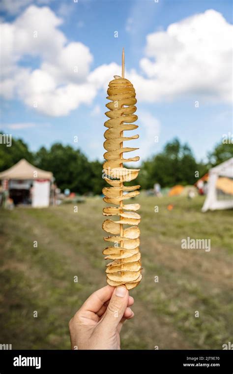 Potato Street Food Snack In Hand Fried Potatoes On A Skewer At The