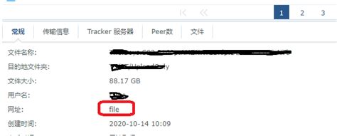 发送到群晖downloadstation的种子会被统一命名为file · Issue 618 · Pt Pluginspt