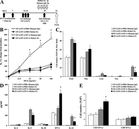Allergen Induced Ahr And Airway Inflammation Are Prevented By
