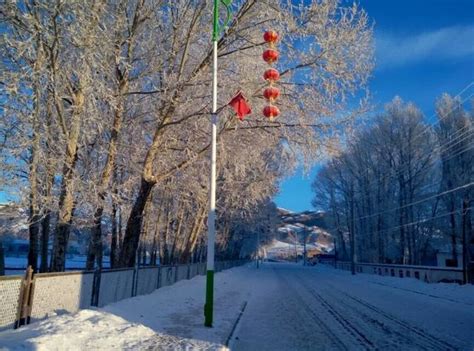 雪落昭蘇 情滿人間 每日頭條