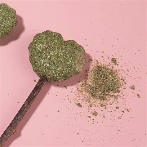 Catnip Lollipop For Cat Pawclap