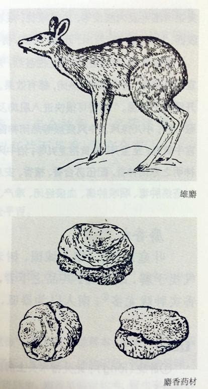 知乎日报 知乎