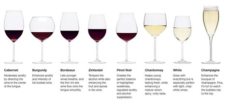 Types Of Wine Glasses A Guide To The Best Wine Glass Shapes Crate