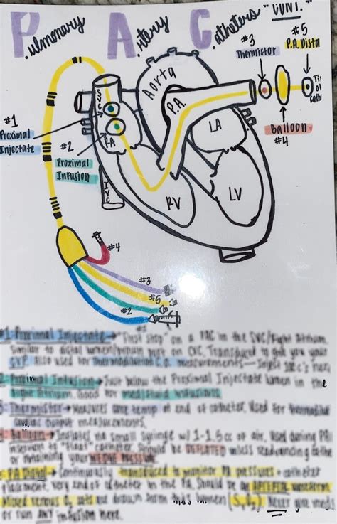 Pa Catheter Ports And Waveforms Icu Nursing Concept Map Etsy
