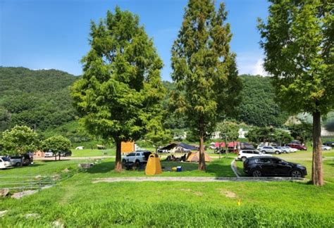 아이와 캠핑 성주 금수문화공원 야영장 사이트 선택 팁 네이버 블로그
