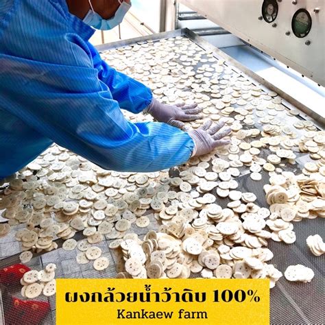ผงกล้วยดิบ ผงกล้วยน้ำว้าดิบ 100 ไม่ผสมเปลือก 100g200g500g รักษาแผ