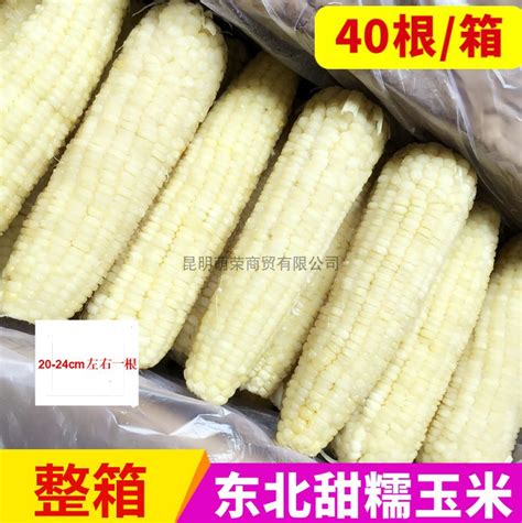 乾玉东北黏糯玉米棒40根白色甜苞谷冷冻玉米棒加热即食粥铺早餐虎窝淘