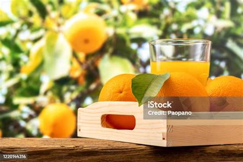 자연 배경에 오렌지 주스와 오렌지 과일의 유리 과일 개념입니다 0명에 대한 스톡 사진 및 기타 이미지 0명 감귤류 과일 건강한 식생활 Istock