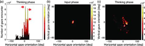 Example Of One Participants Gaze Distribution A Histogram Showing