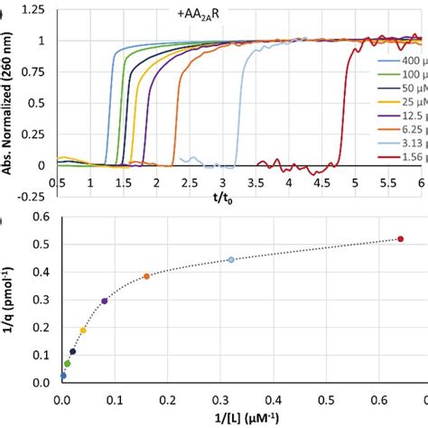 Frontal Affinity Chromatography Analysis Of The Interaction Between