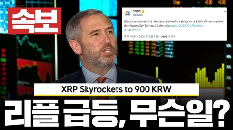 속보 리플 900원 급등 무슨일 Youtube