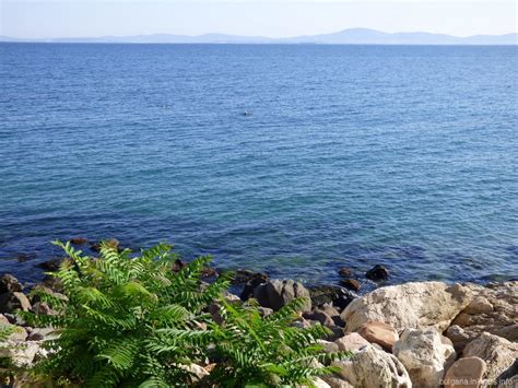 Болгария