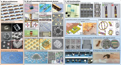 An Overview Of Self‐assembled Microarchitectures 3d Functional Download Scientific Diagram