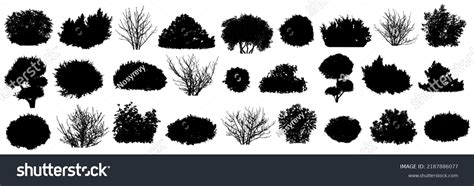 Set Bush Bare Bush Decorative Garden Vetor Stock Livre De Direitos