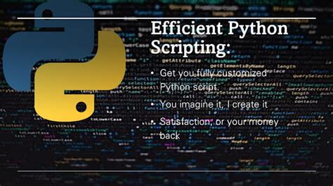 Write Your Custom Python Script By William22234 Fiverr