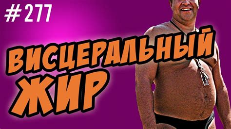 висцеральный жир как зачем и что это Youtube