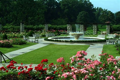 Garden Picture HD WALLPAPER