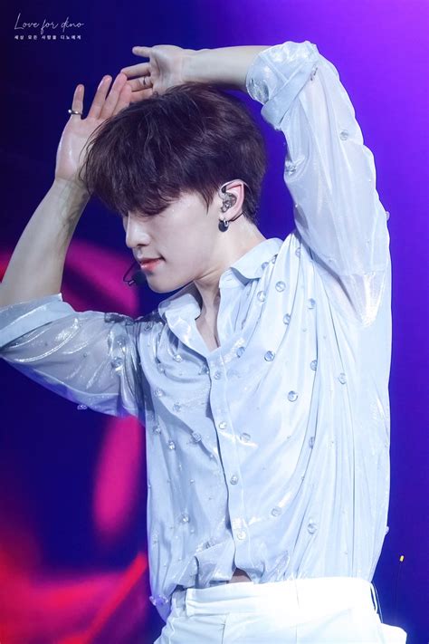𝘓𝘰𝘷𝘦 𝘧𝘰𝘳 𝘋𝘐𝘕𝘖 On Twitter 디노 Dino 세븐틴