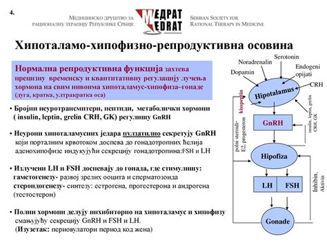 Аналози ГнРХ Gnrh клиничкој педијатријској пракси Ppt Download