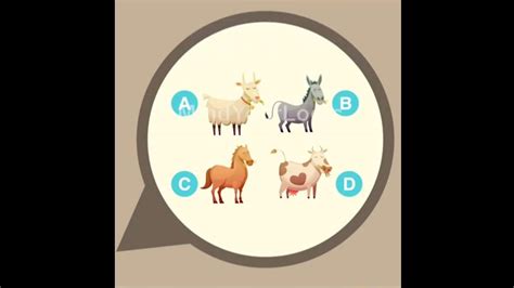 Memort Test Aapke Dimag Ke Lie Remember Me Paheli Hindi Paheliyan Shorts Youtube