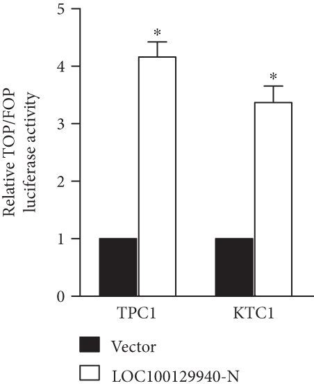 Overexpression Of Loc100129940 N Activates The Wntβ Catenin Signaling