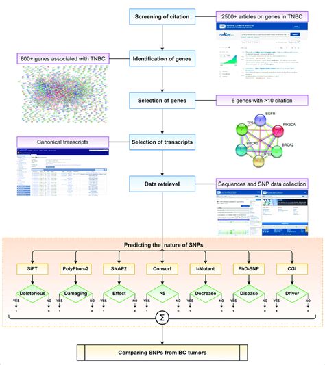 Schematic Representation Of Overall Framework In This Work To