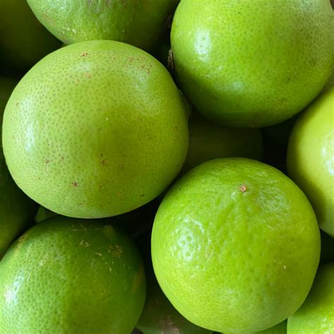 Limes Currumbin Valley Harvest
