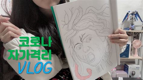 나홀로방에 2주간 자가격리 브이로그vlog Youtube