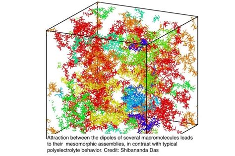 New Theory Upends What We Know About How Charged Macromolecules Self