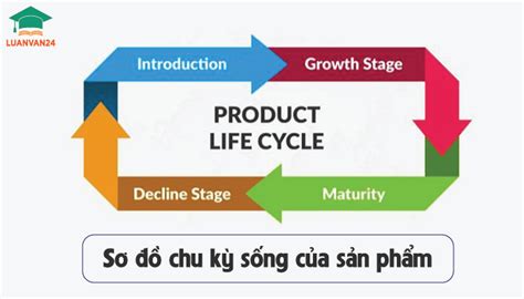 Chu kỳ sống của sản phẩm và chiến lược marketing hiệu quả nhất