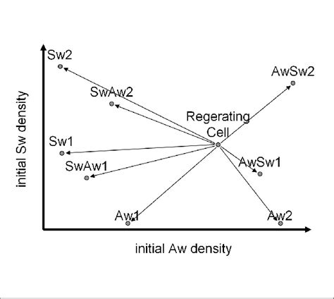 Illustration Of The Process To Assign A Forecast Simulation To A