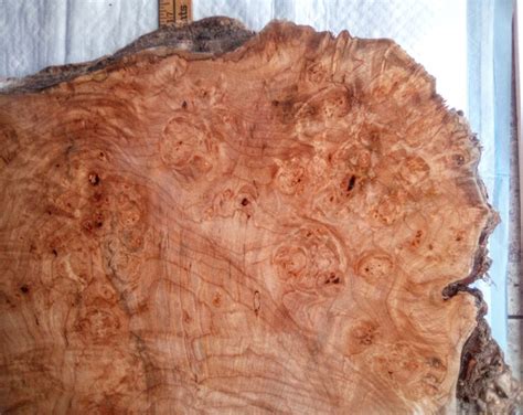 1 Spaulted Maple Burl Quilt Slice 24x15x15 Etsy