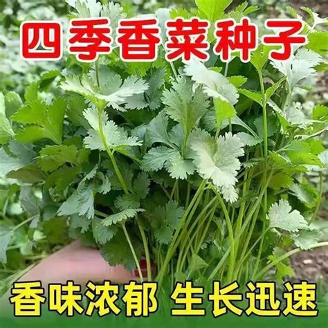 李宁抽奖活动好价 一起活动吧