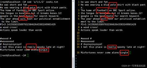 shell编程之sed sed查找行里等号后面的数值 CSDN博客