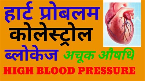 High Blood Pressure Heart Problems Colestrol Blockege Kese Theek Kre