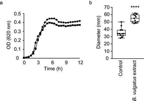 Impact Of Small Molecules Produced By B Vulgatus On V Cholerae