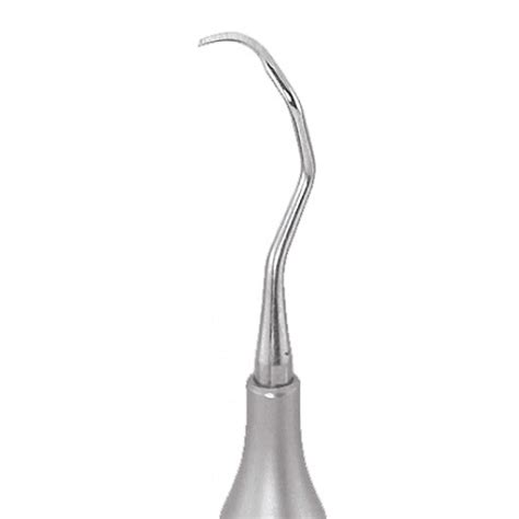 Compre GDC Langer Curettes 5/6 for Maxillary and Mandibular Anterior #6 ...