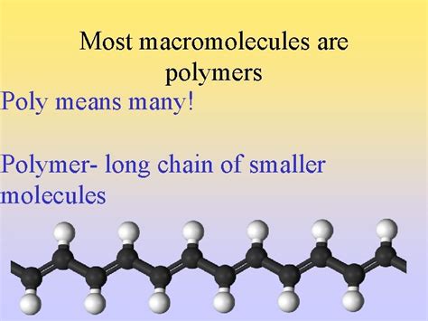 Types Of Macromolecules 1 2 3 4 Carbohydrates
