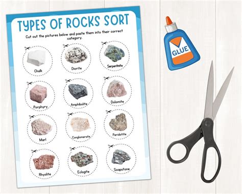 Types Of Rocks Sorting Activity Sedimentary Igneous And Metamorphic