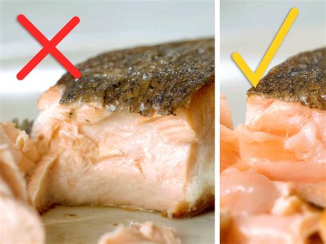 Raw Salmon Ready To Eat Factory Stores