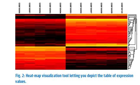 综合性高通量数据分析包
