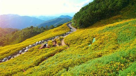 实拍风景区素材 Livekong来悟空