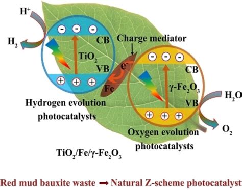 Z Scheme Of Photosynthesis