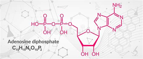 Phosphate Skeletal Formula Molecular Chemical Structure Stock