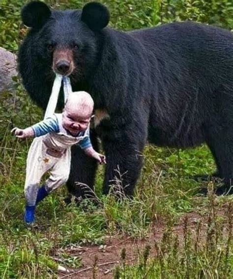 ახლა რეინჯერმა ტყეში ღრმად შემთხვევით წააწყდა დათვს რომელიც