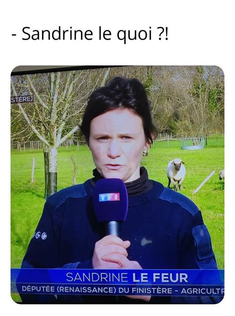Députée du Finist hair r MemeFrancais